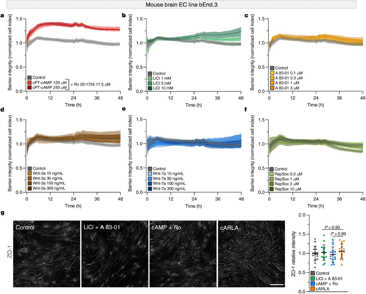 Mouse Bend 3 Cells | ATCC | Bioz